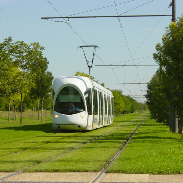 Les Transports en Commun Lyonnais en groupe - Lyon France